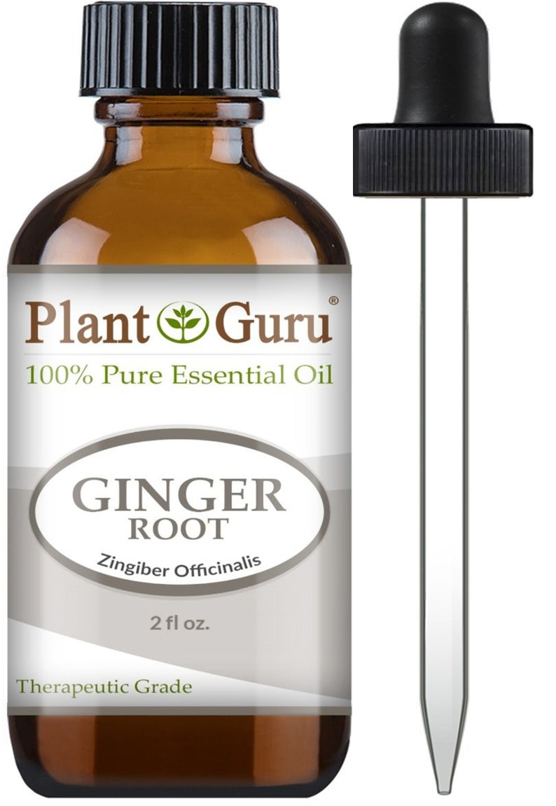 Ginger Essential Oil fresh 100% Pure Natural Therapeutic - Etsy