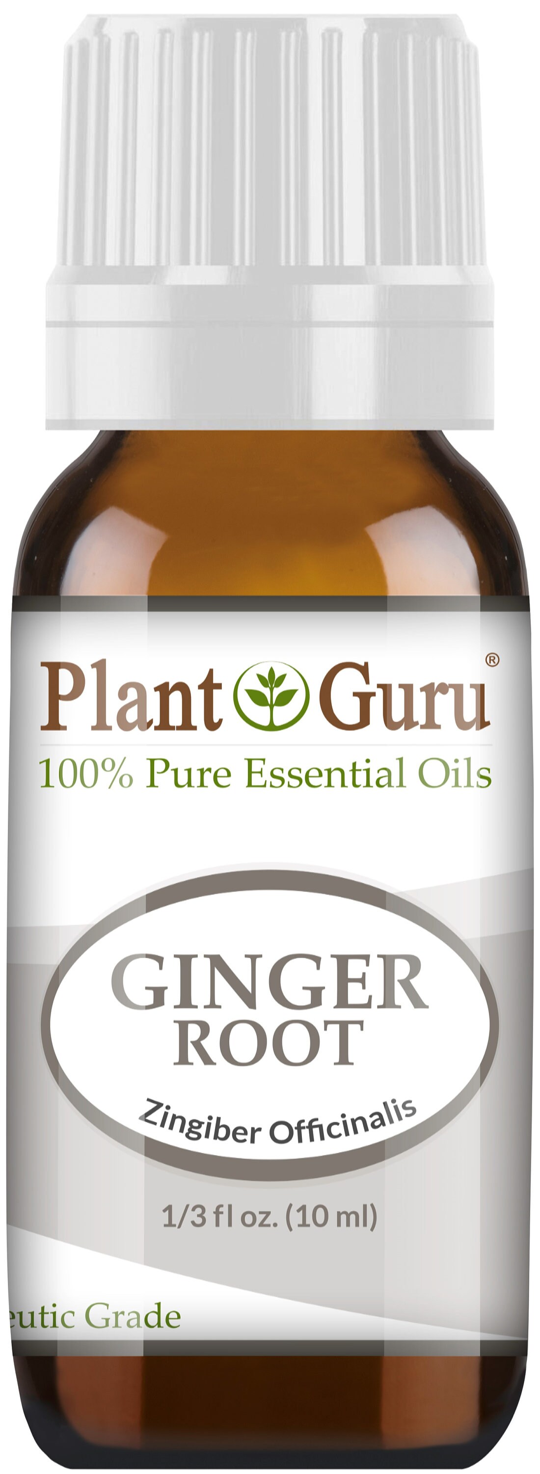 Ginger Essential Oil (fresh) 100% Pure Natural Therapeutic Grade ...