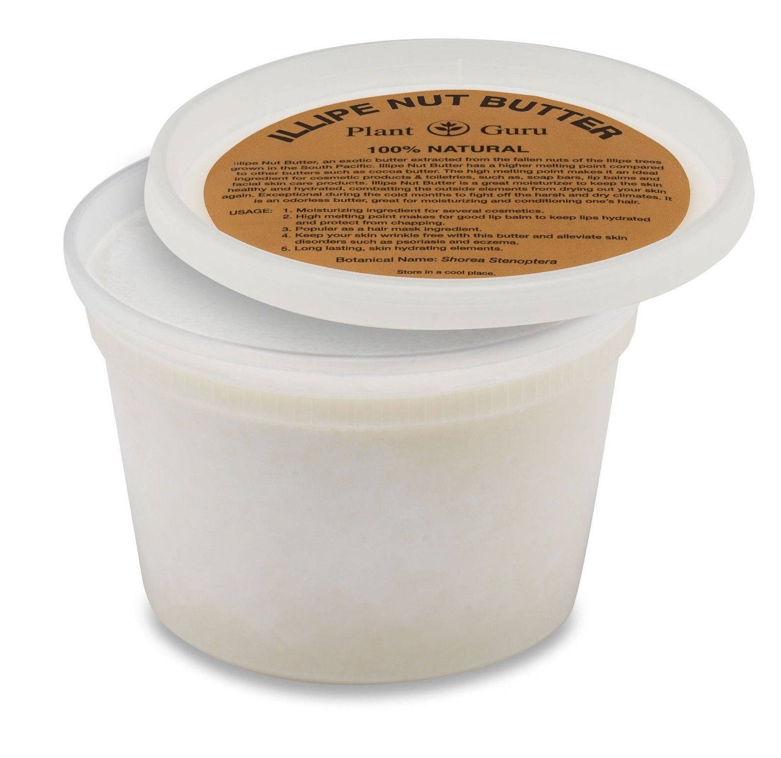 Illipe Nut Butter Natural 100% Pure Raw Cold Pressed Shorea Stenoptera ...