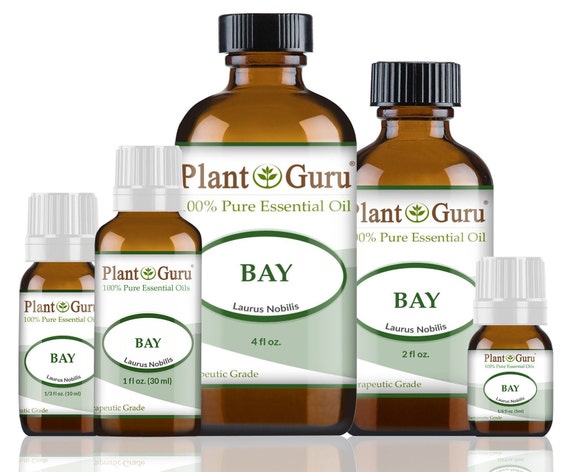 Bay Essential Oil 100 Pure Natural Therapeutic Grade Laurus Nobilis Bulk Wholesale Available Etsy Polska