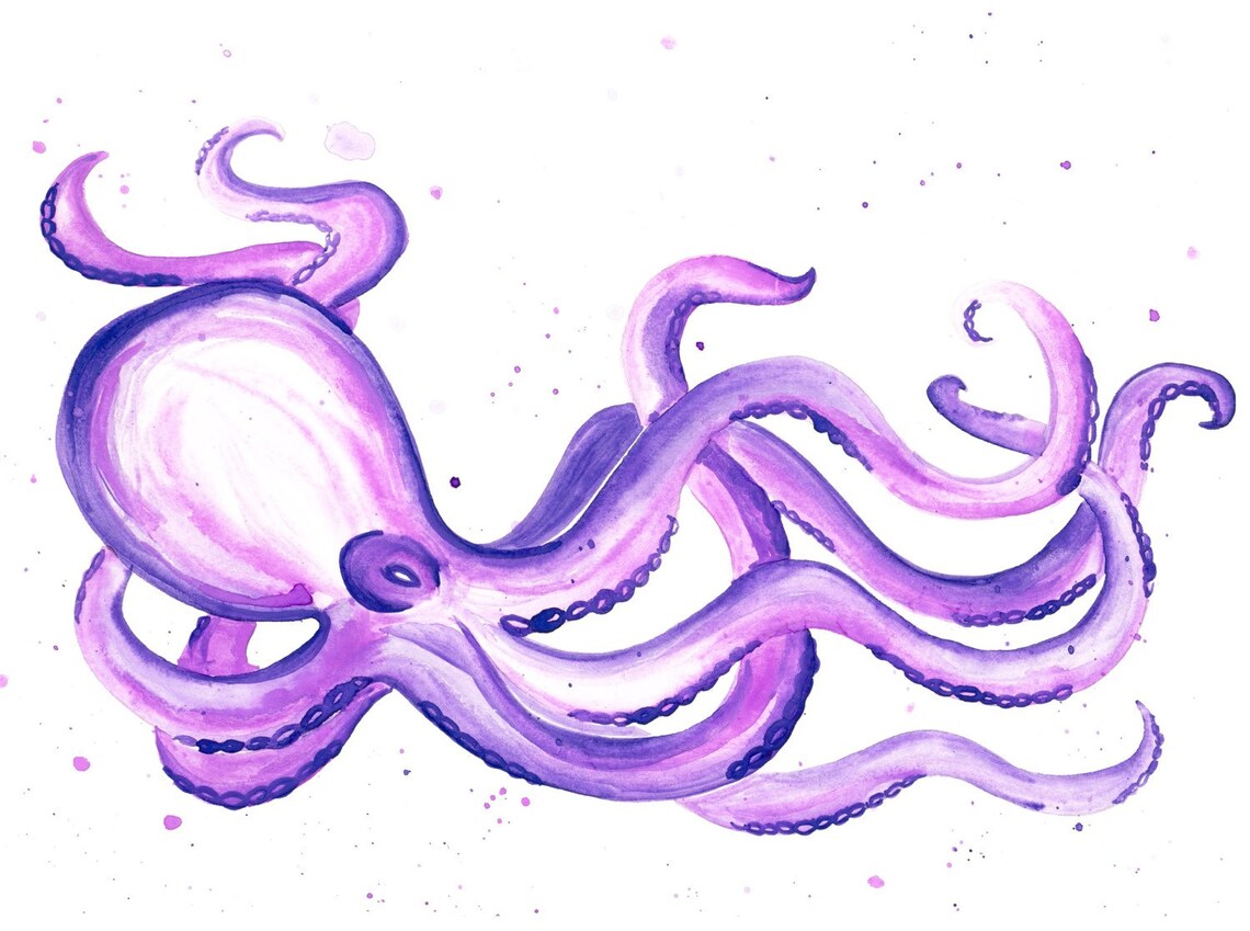 Pink Orange or Purple Watercolor Octopus Fine Art Prints - Etsy