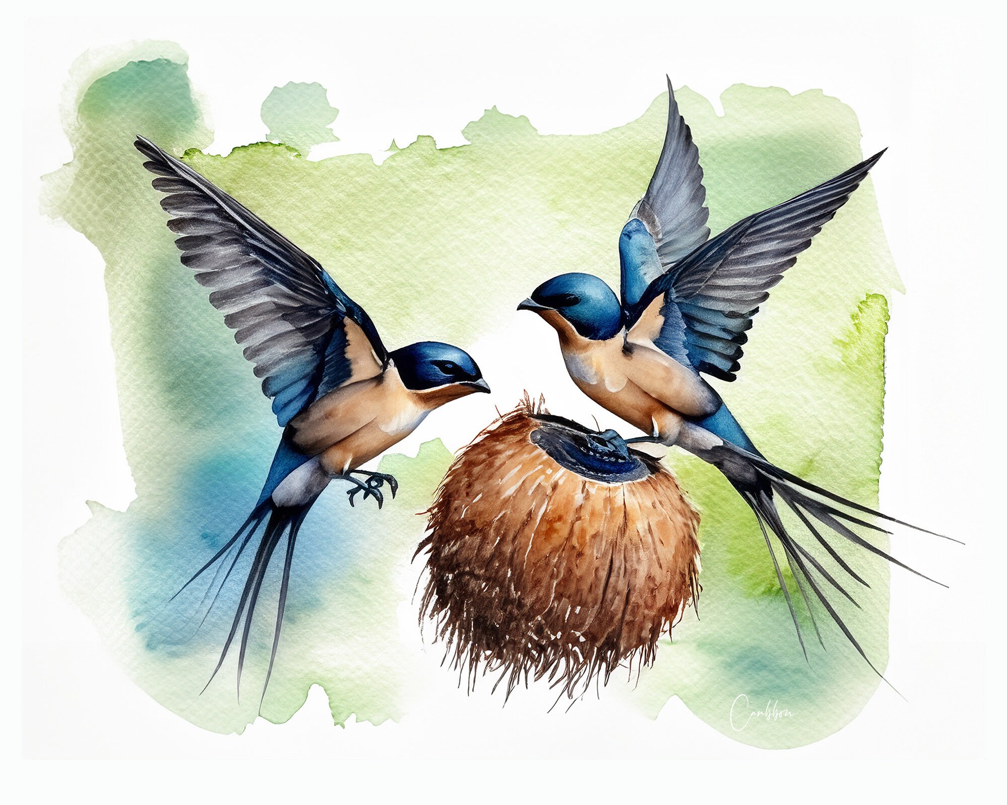 Monty Python, Holy Grail, Wall Art. Two Swallows and a Coconut on Photo ...