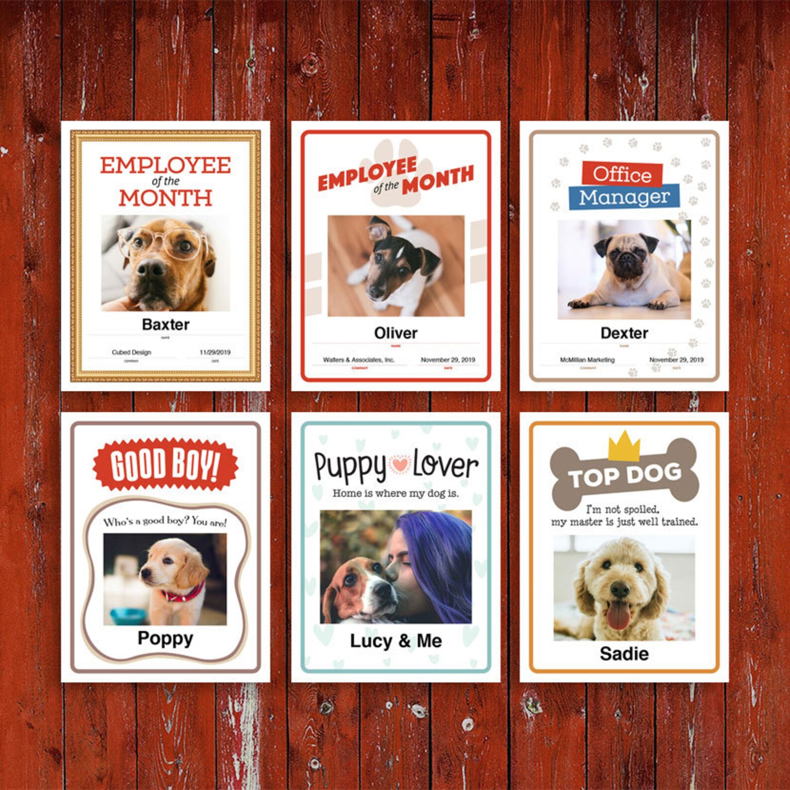 Dog Certificates, Funny Dog Lover Photo Certificate, 6 Downloadable ...