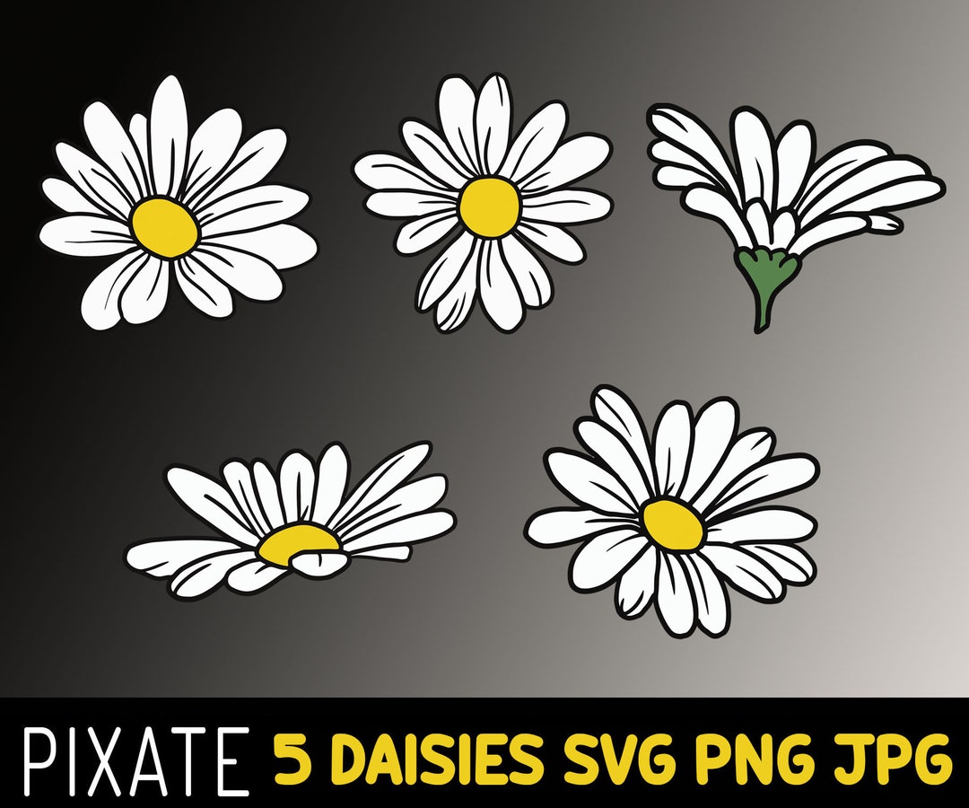 Set of 5 Daisy Flowers SVG JPG PNG, Daisies Digital Download Bundle ...