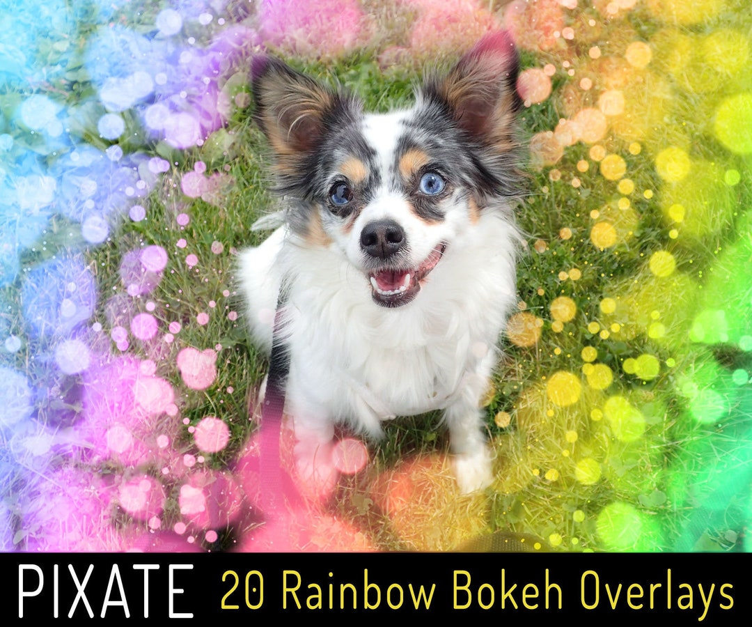 20 Rainbow Bokeh Photo Overlays, Photoshop Bokeh Overlay Set, Colorful ...