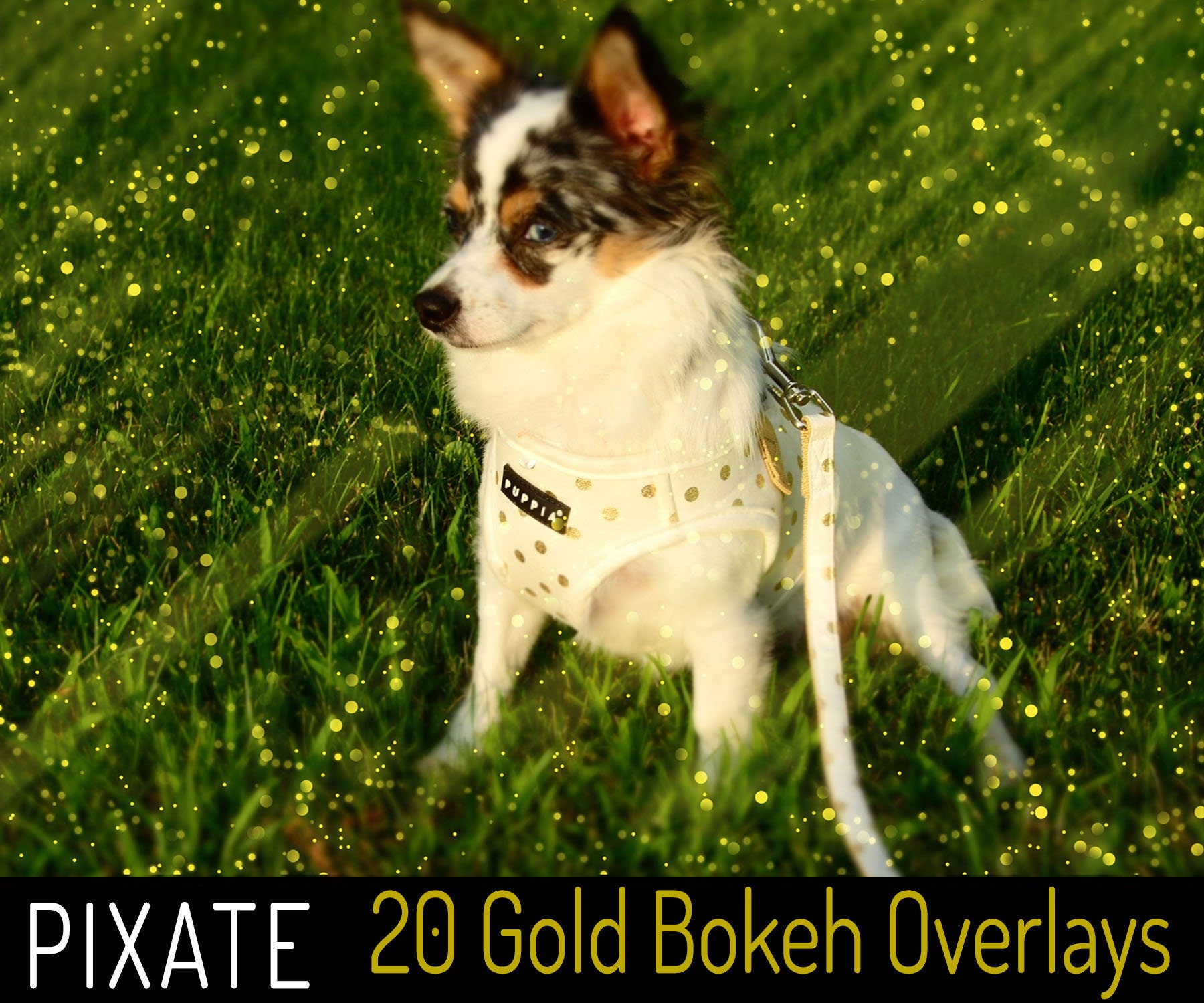 20 Gold Bokeh Overlays Photoshop Glitter Overlays - Etsy