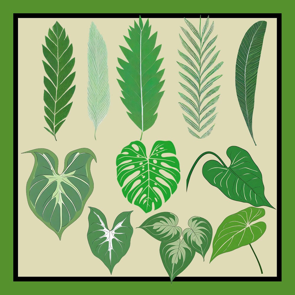 Nature Botanical Elegance Instant Download PNG Digital Leaf Art for ...