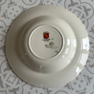 Myott Staffordshire “sunshine Susie” – Vintage Floral Side Plate ...