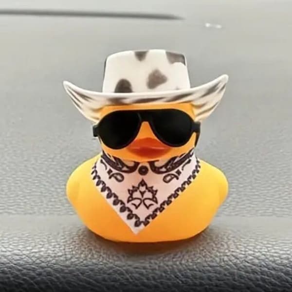 Cowboy Western Rubber Ducks - Etsy