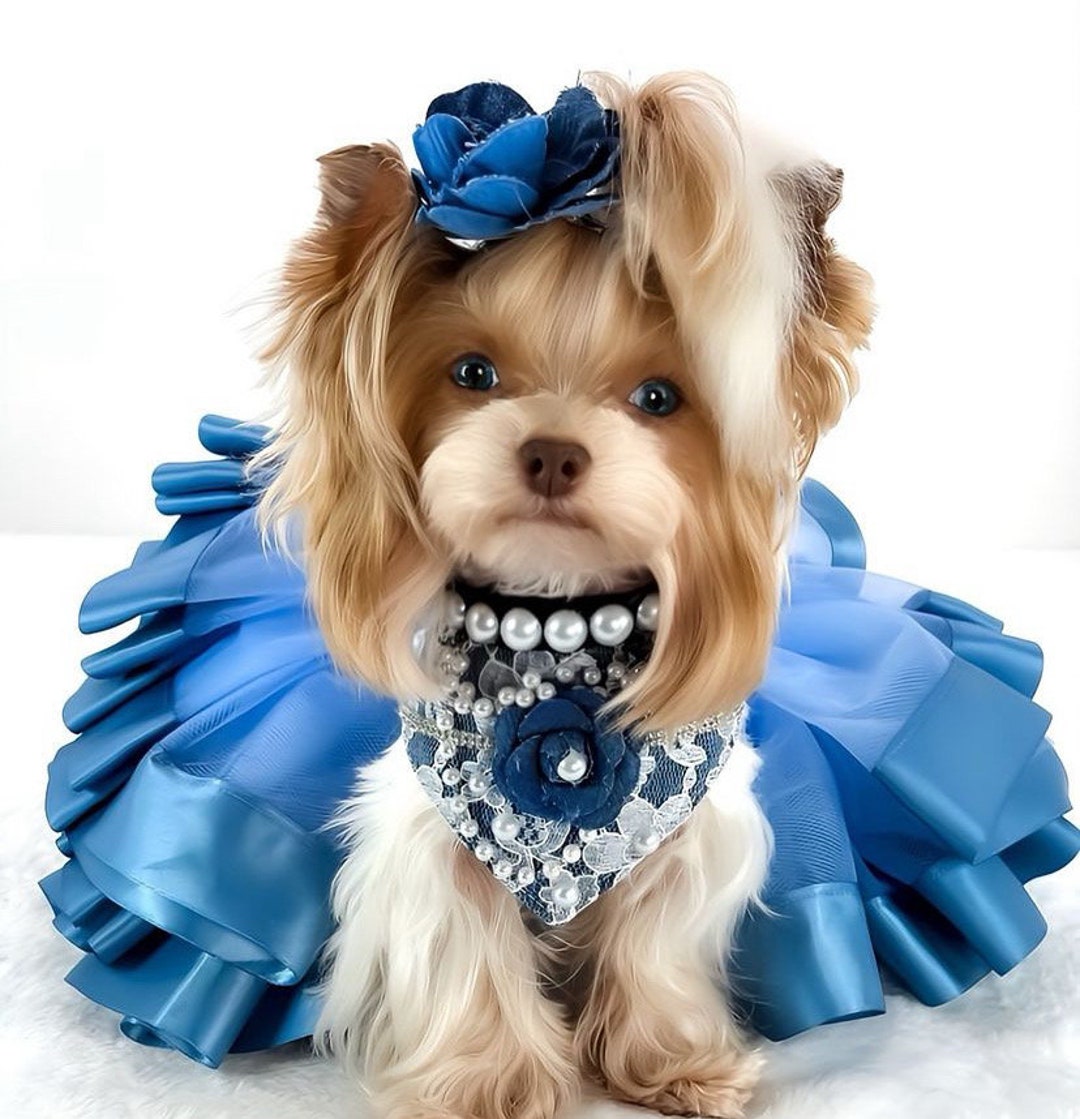 Smoke Blue Dog Tutu Skirt. XS-XXXL. Cat Wedding Dress. Birthday Party ...