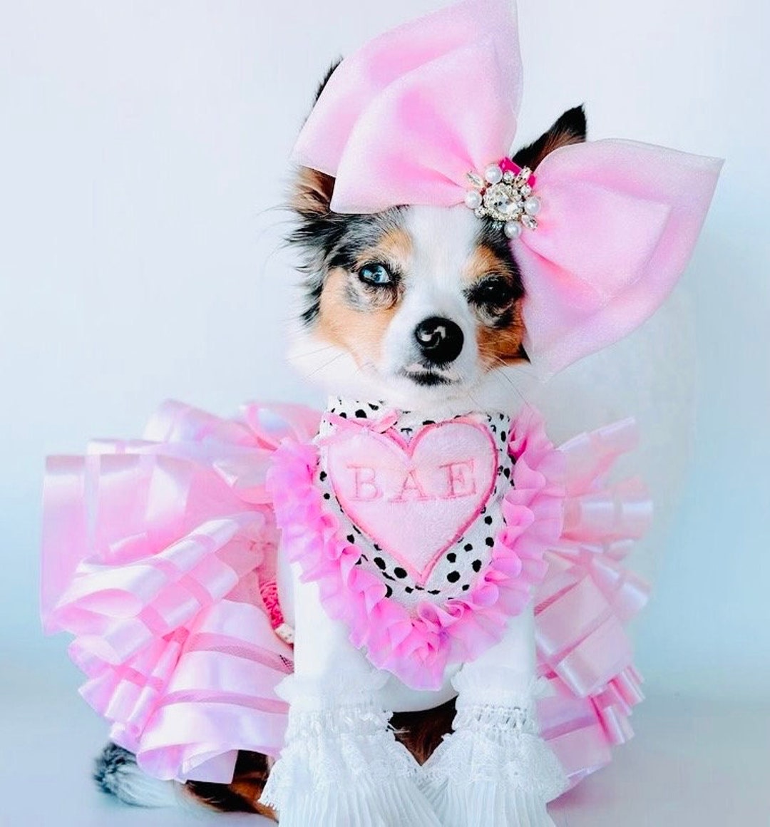 Light Pink Dog Tutu Skirt. XS-XXXL. Cat Dog Wedding. Dog Birthday Party ...