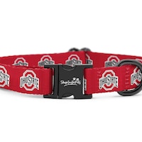The Ohio State University Dog Bandana - Script Ohio - Officially ...