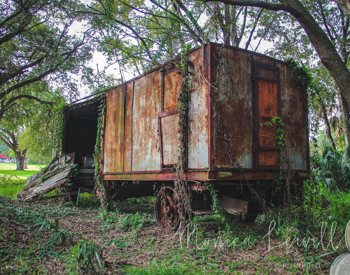 Carny Series 1 of 4: Old Carny Land - Abandoned Vintage Carnival ...