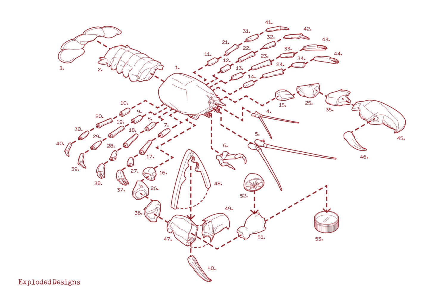Exploded Lobster Art Print Poster - Etsy Canada