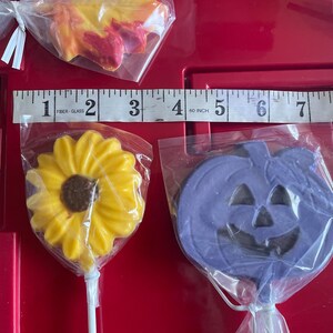 Fall Chocolate Lollipops: Jack O' Lanterns, Leaves & Flowers - 15 Piece ...