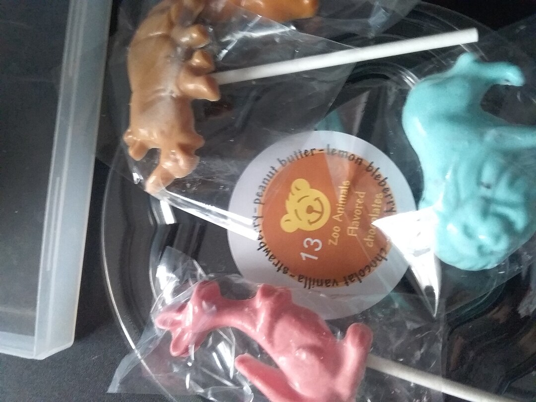 Zoo Animals in Ssirted Colors You Get 8 Different Animals Mix - Etsy