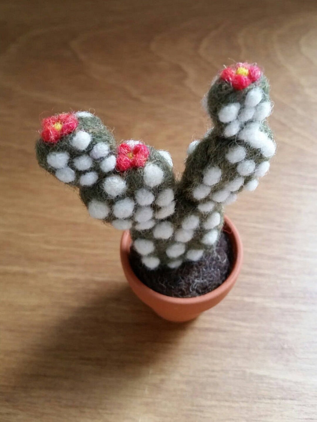 Small Needle Felted Cactus With Colored Flowers, Handmade Colored ...