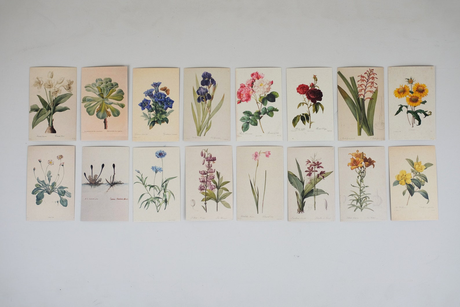 Botanical Lilium Orange Big DIY Weaving Kit Loom Wooden Frame Natural ...