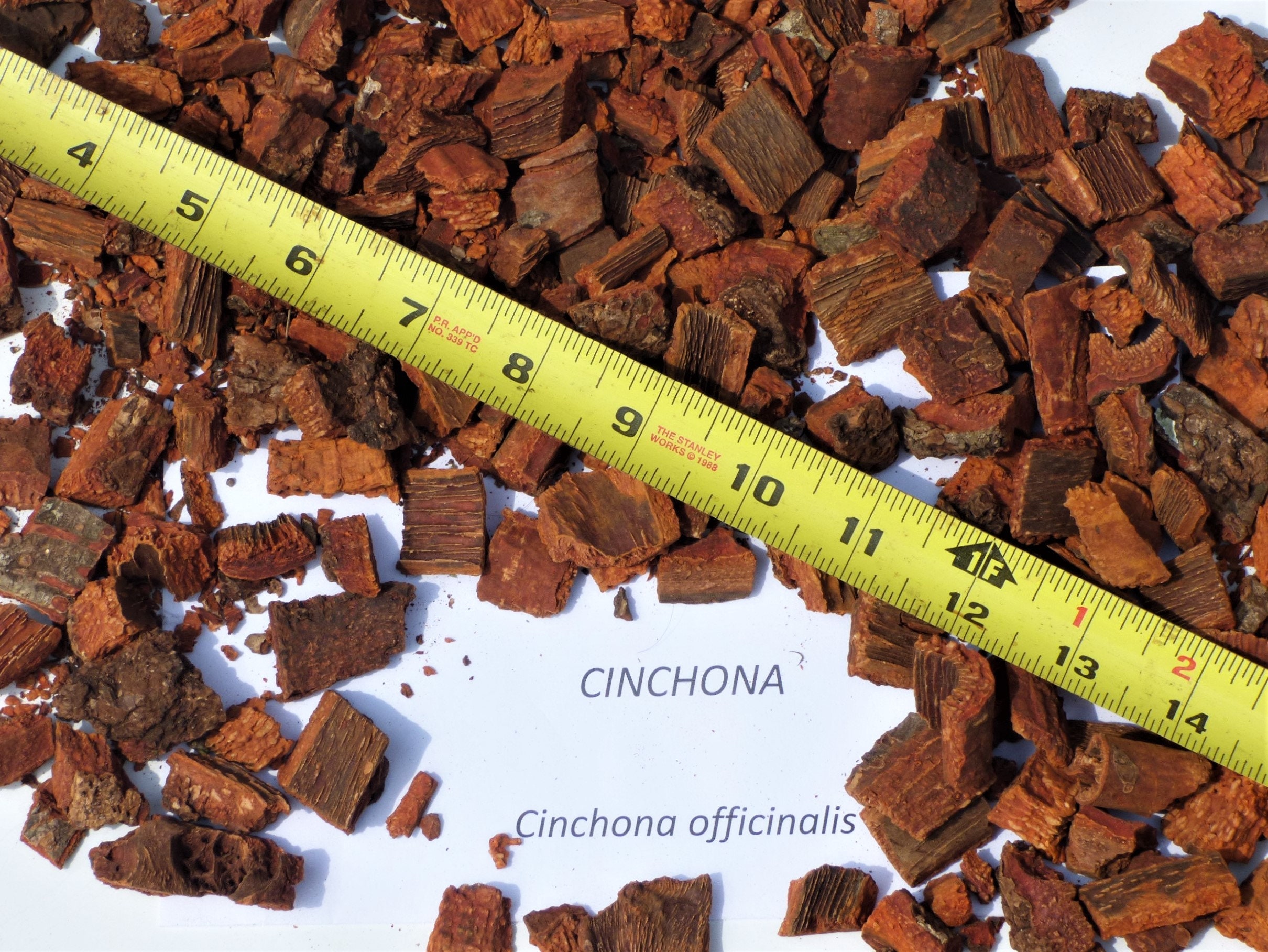 Cinchona Officinalis Bark