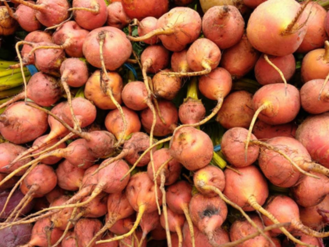 Heirloom Burpees Golden Beet Seeds - Beta Vulgaris - B182 - Etsy
