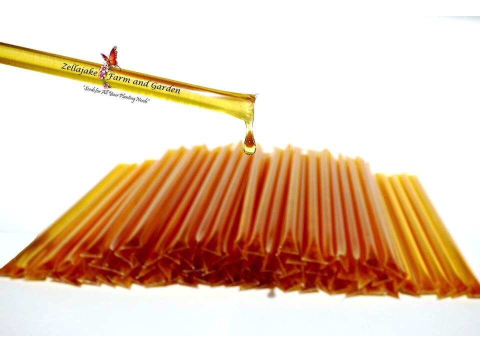 Clover Honey Sticks 5 Thru 400 Straws Natural Snack M10 - Etsy