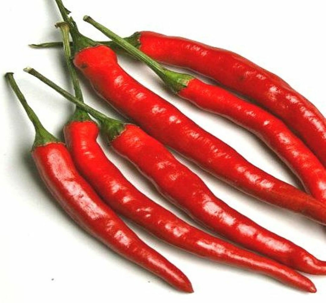 Heirloom Cayenne Long Thin Red Pepper Seeds - Capsicum Annuum - B125 - Etsy