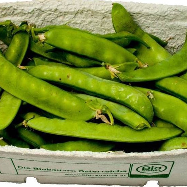 2 Peas in a Pod - Etsy