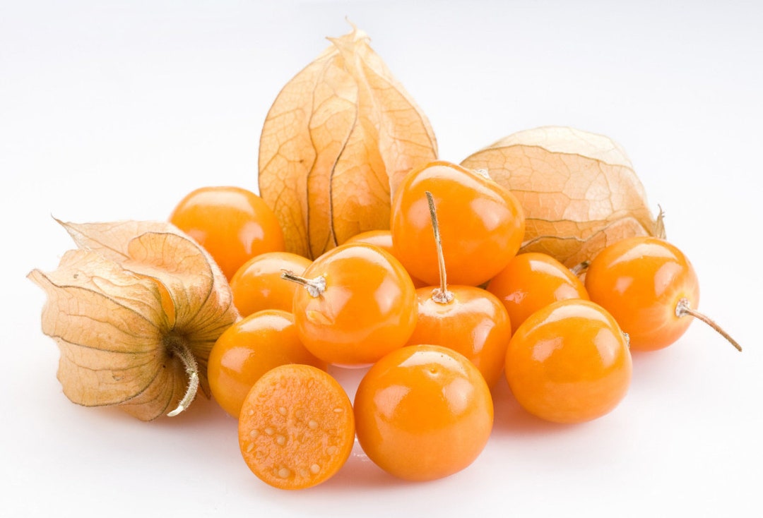 Ground Cherry Seeds - Physalis Peruviana - B270 - Etsy