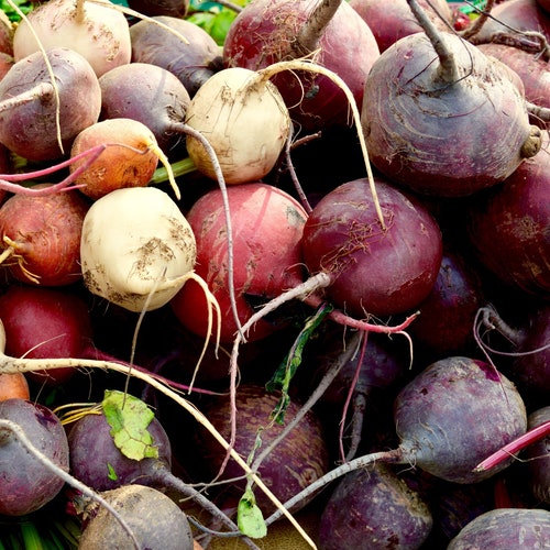 USA SELLER Rainbow Mix Beet 50 Seeds HEIRLOOM Beta Vulgaris - Etsy