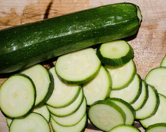 Raven Zucchini Seeds - Etsy