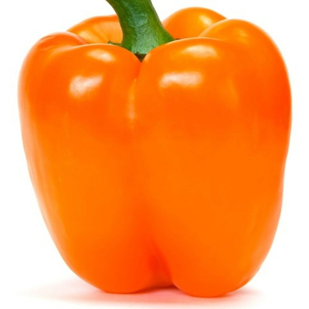Orange Sun Bell Pepper Seeds - Capsicum Annuum - B137 - Etsy