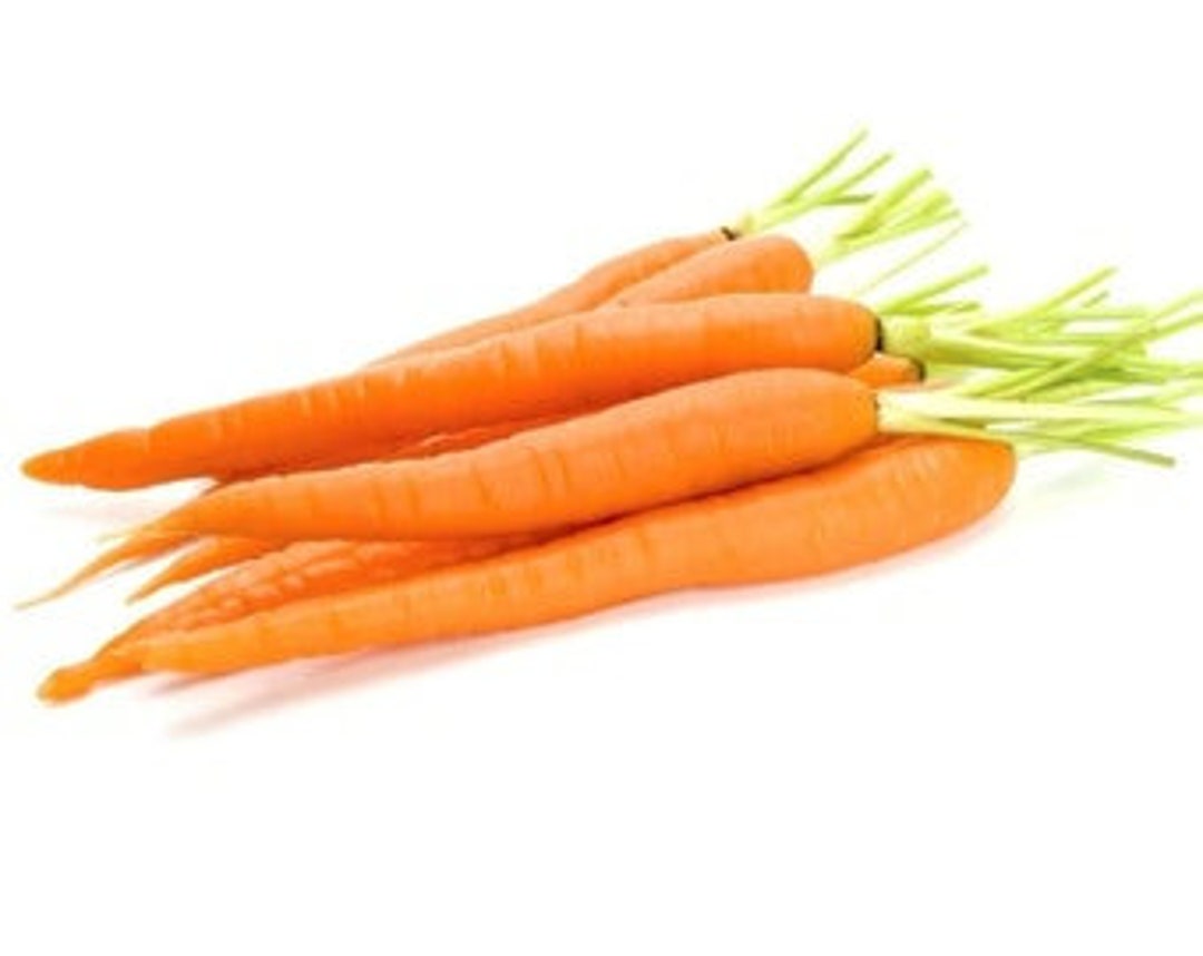 Heirloom Imperator Carrot 300 Seeds, 1/2 Gram Buy 2 Get 1 Order Free ...