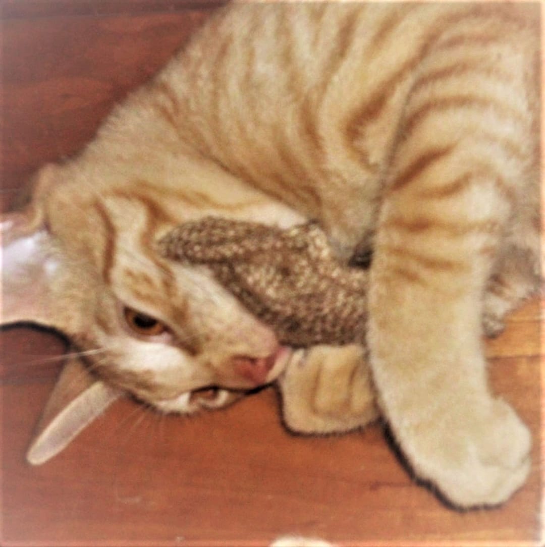 Catnip Cat Toys - Natural Burlap Sacks With Catnip Inside - 4 Pack - Etsy