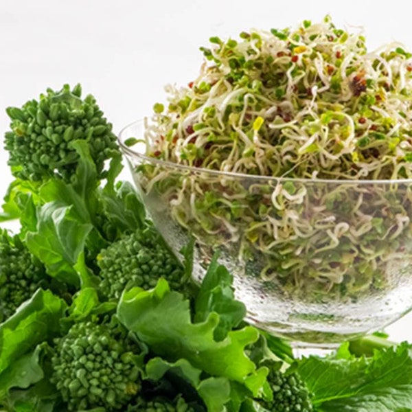 Heirloom Seeds - Etsy