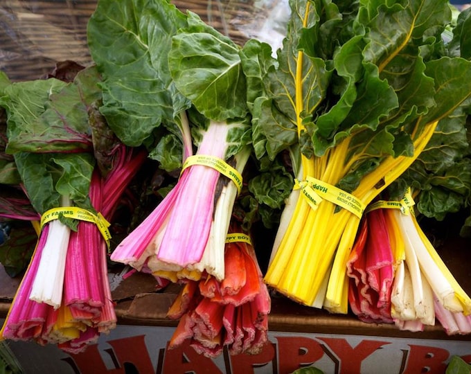 Fordhook Giant Swiss Chard Seeds, 300 White Chard Seeds // Heirloom ...