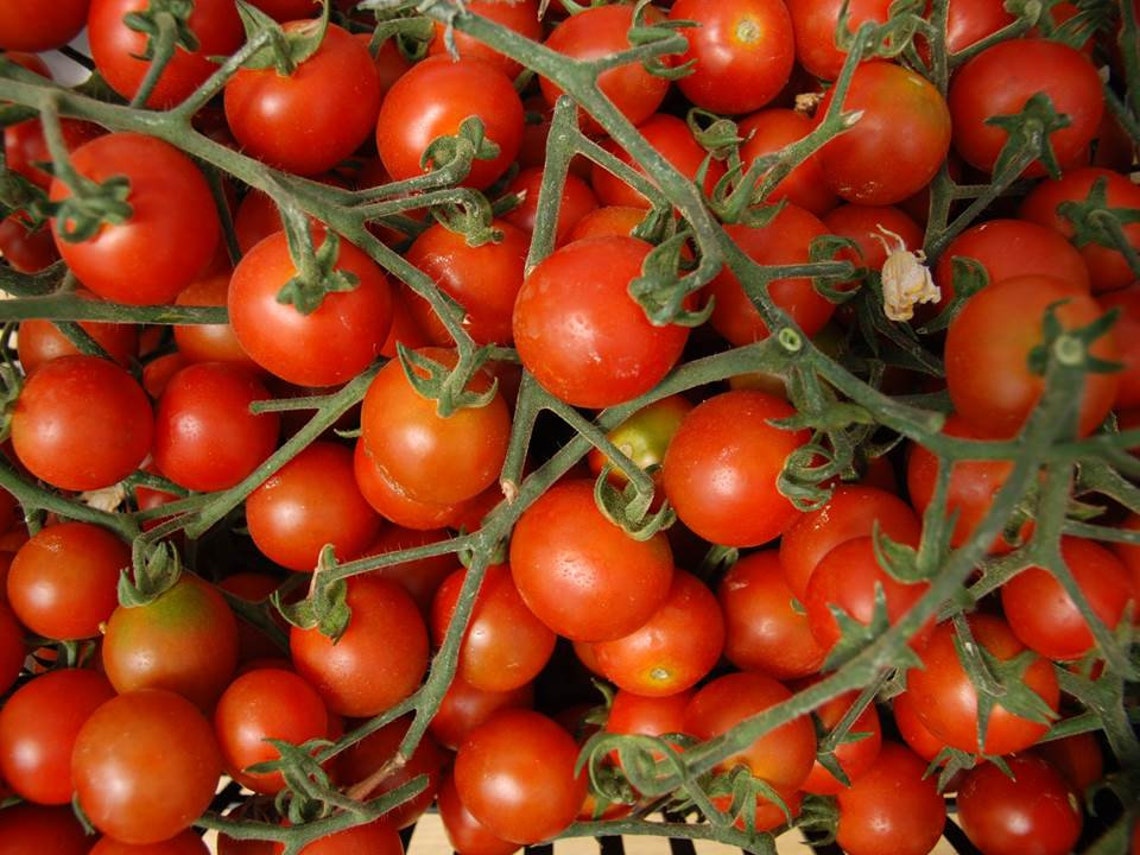 Heirloom Large Red Cherry Tomato Seeds Solanum Lycopersicum - Etsy