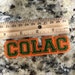FAMU COLAC Iron-on Patch - Etsy