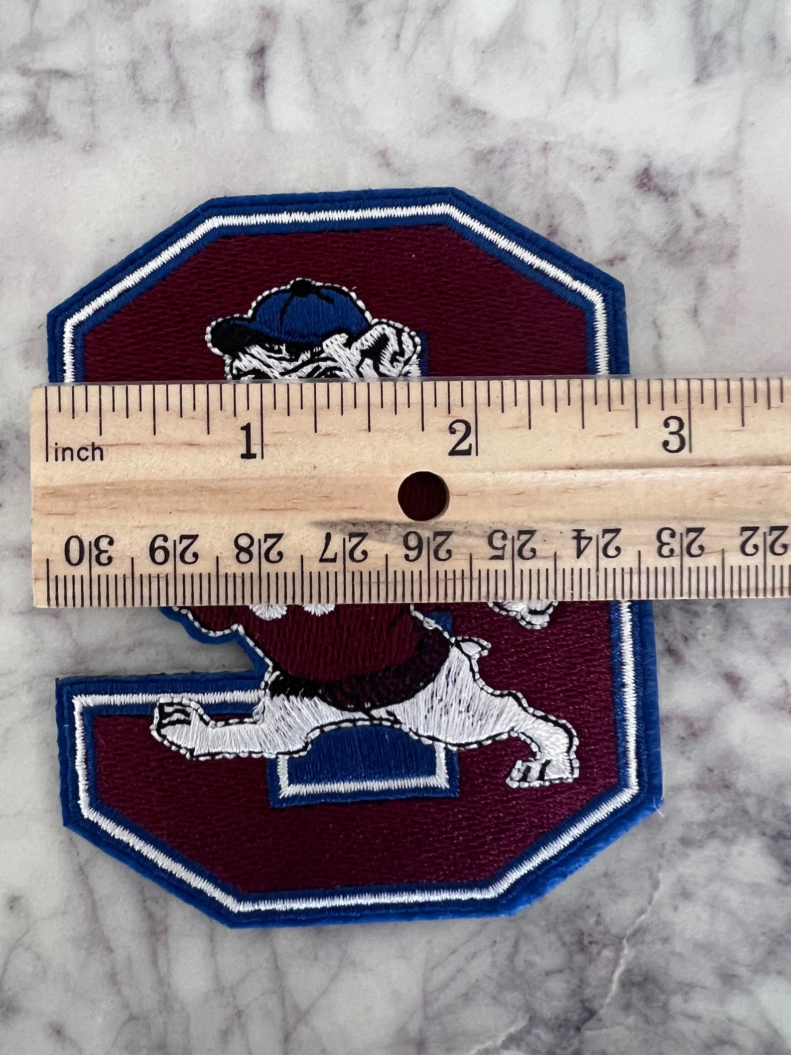 South Carolina State University Iron-on Patch - Etsy