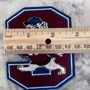 South Carolina State University Iron-on Patch - Etsy