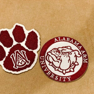 FAMU Iron-on Patch - Etsy