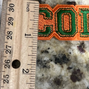 FAMU COLAC Iron-on Patch - Etsy