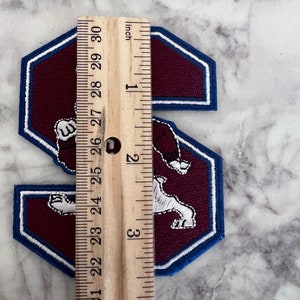 South Carolina State University Iron-on Patch - Etsy