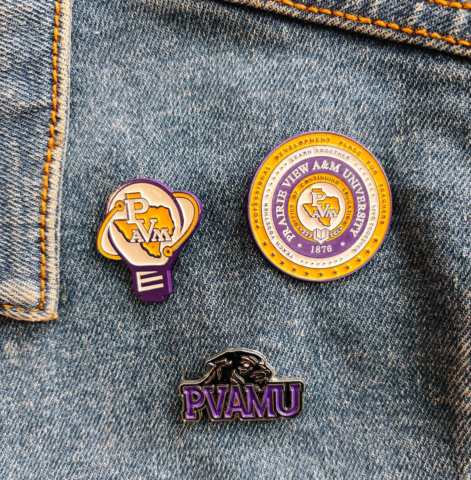 Prairie View A&m University Enamel Pin | Panther Pride Lapel Pin | Hbcu ...