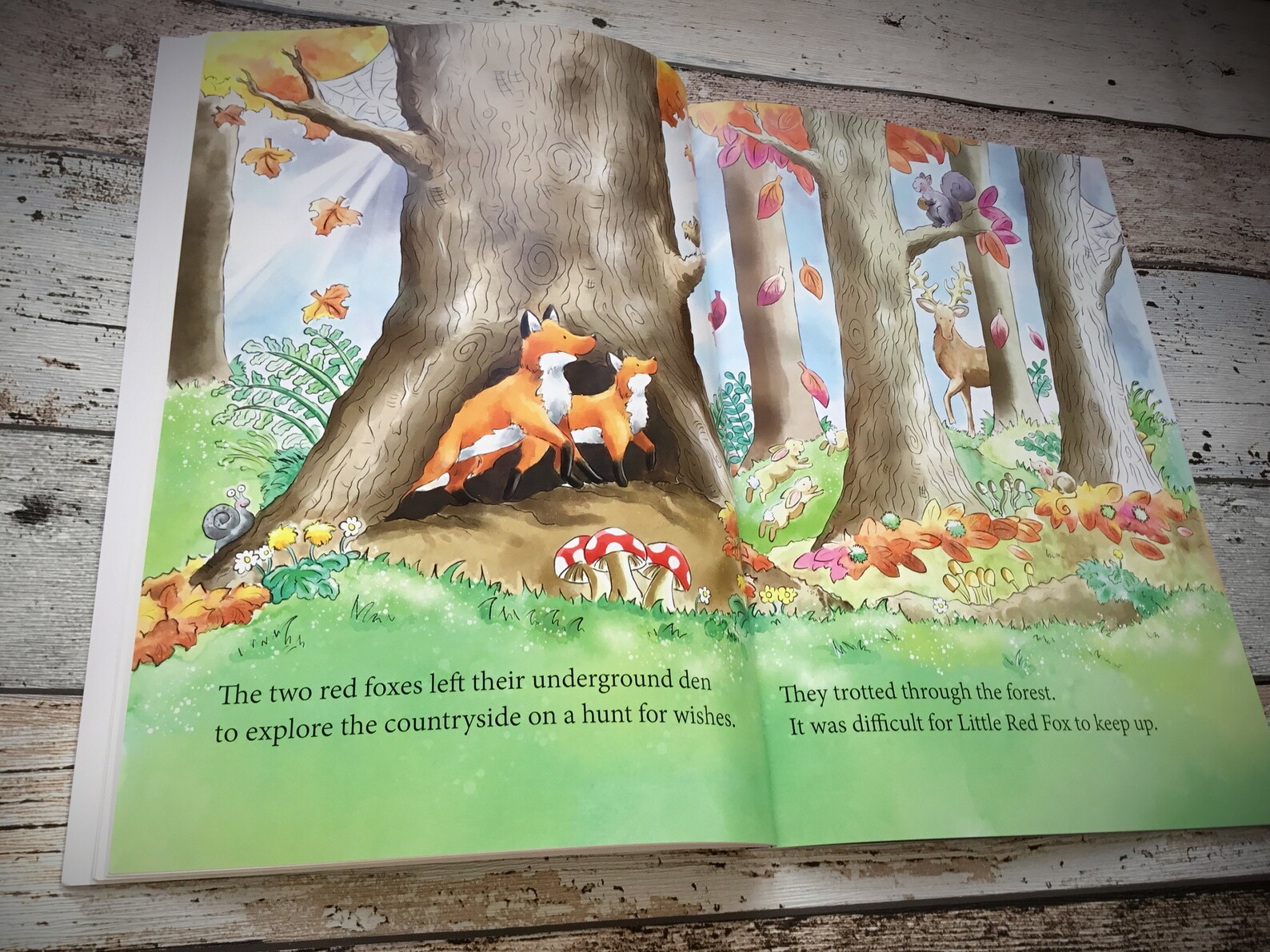 How to Make a Wish - Children’s Picture Book - Fox Story - Foxes - Cute ...