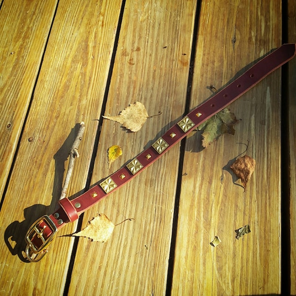 Concho Dog Collar - Etsy