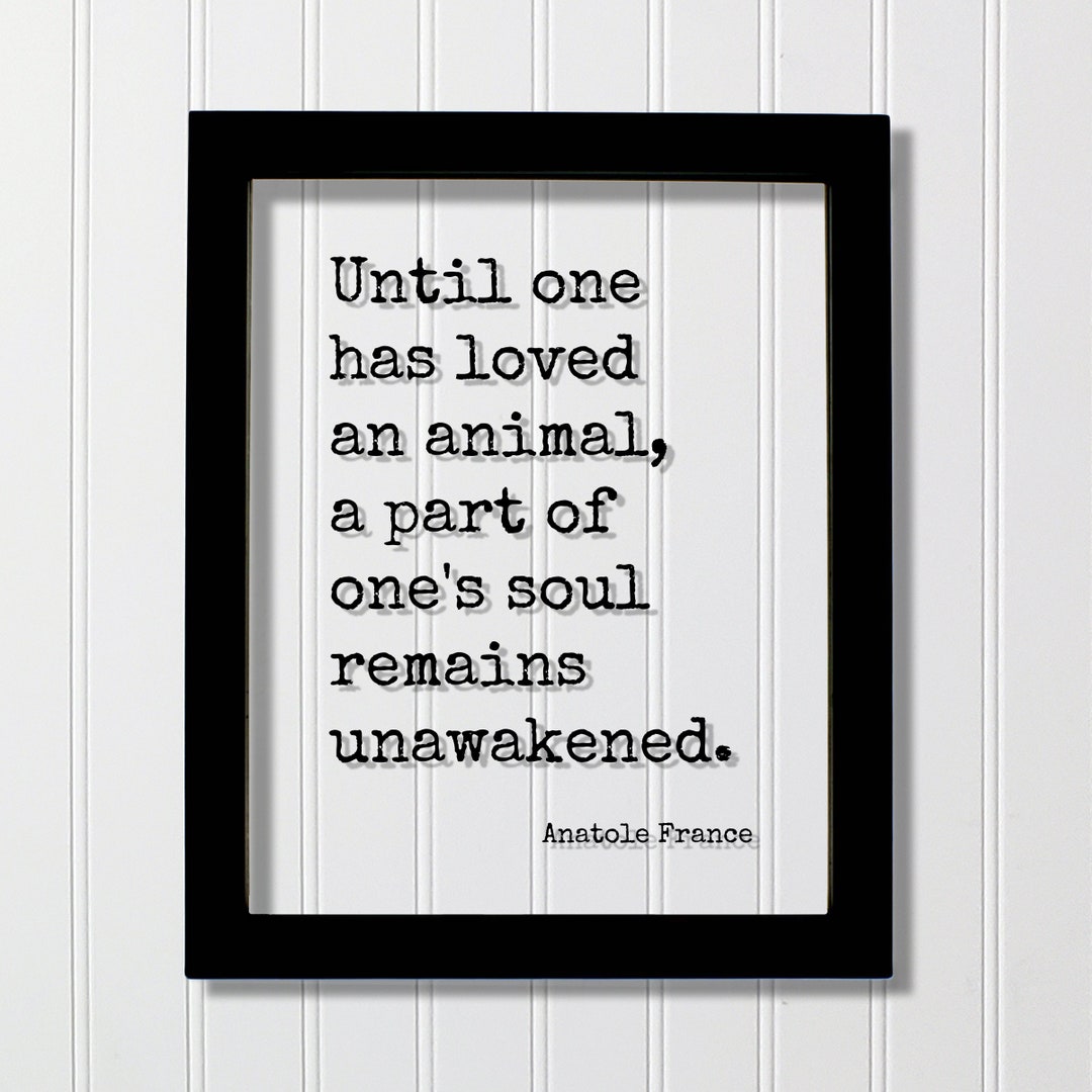 Anatole France Quote - Until One Has Loved an Animal a Part of One's ...