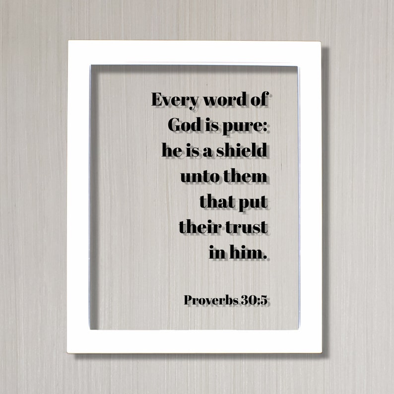 Proverbs 30:5 Every word of God is pure he is a shield unto | Etsy