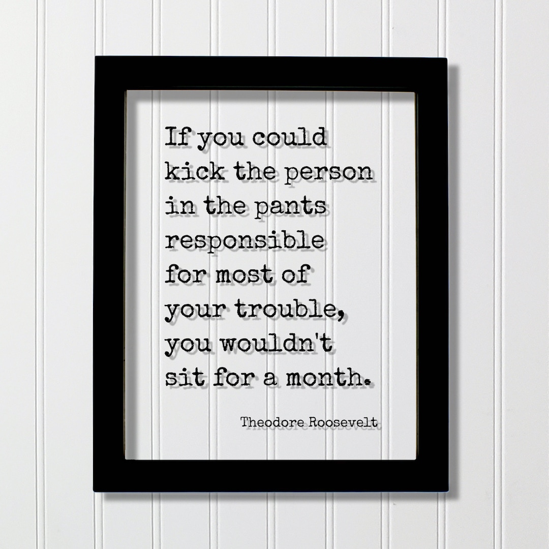 Theodore Roosevelt Floating Quote - If You Could Kick the Person in the ...
