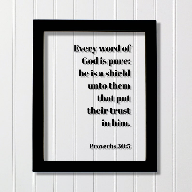 Proverbs 30:5 Every word of God is pure he is a shield unto | Etsy
