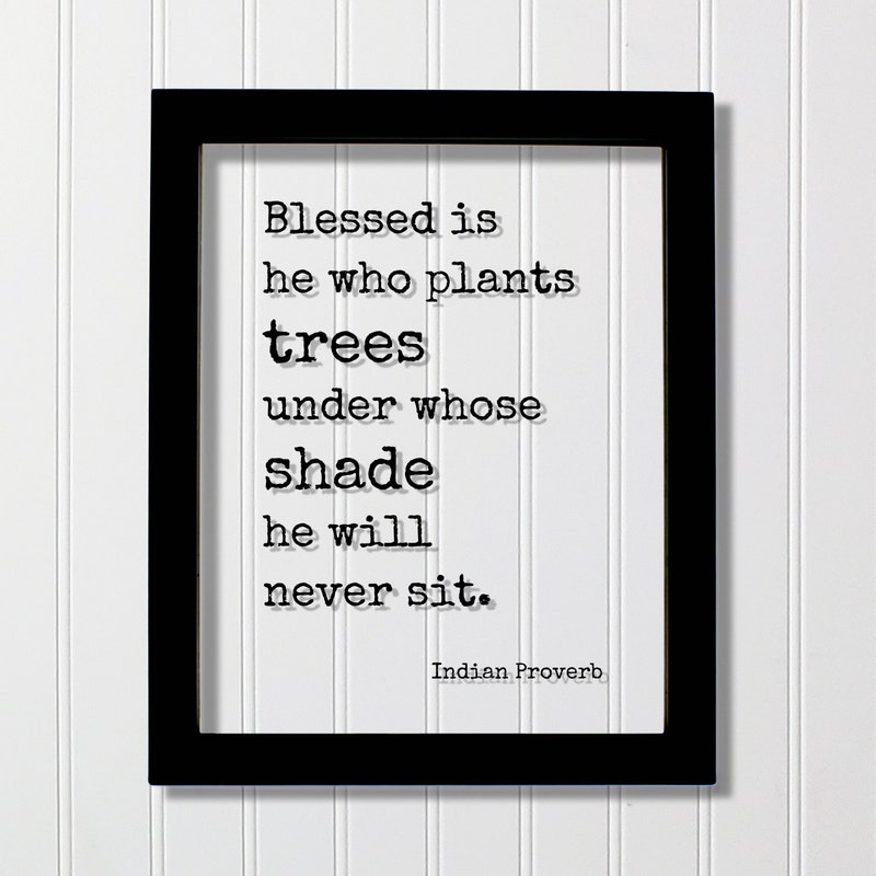 Shaded Under Tree Plants - Etsy